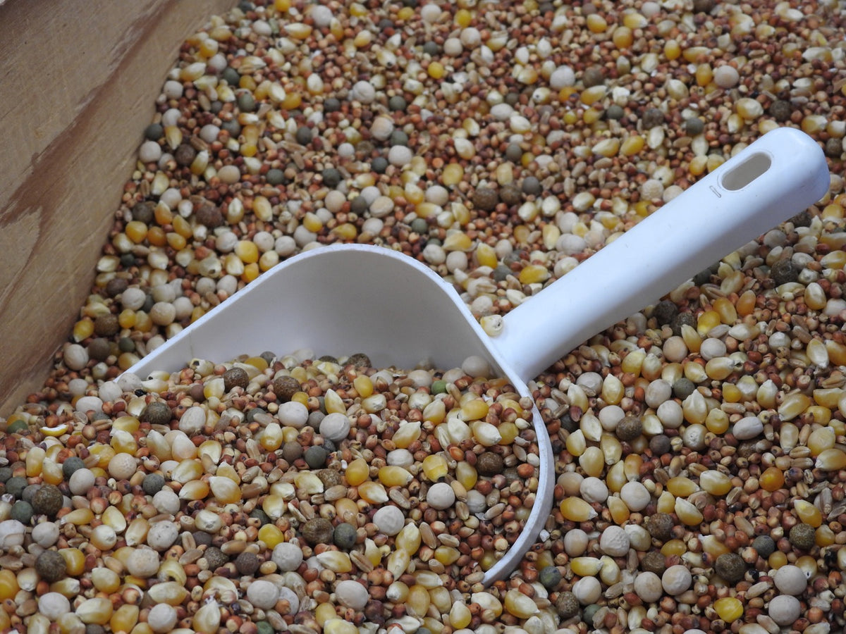 Pigeon Mix with Popcorn 50 lb – Garcia's Feed