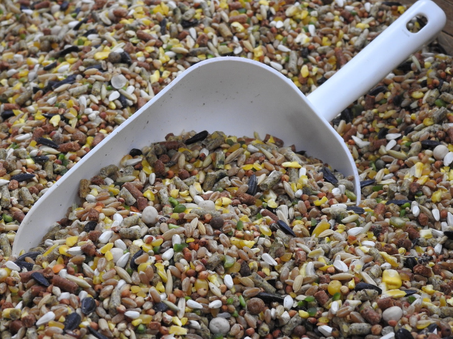 Victoria Gamebird Mix 80 lb – Garcia's Feed