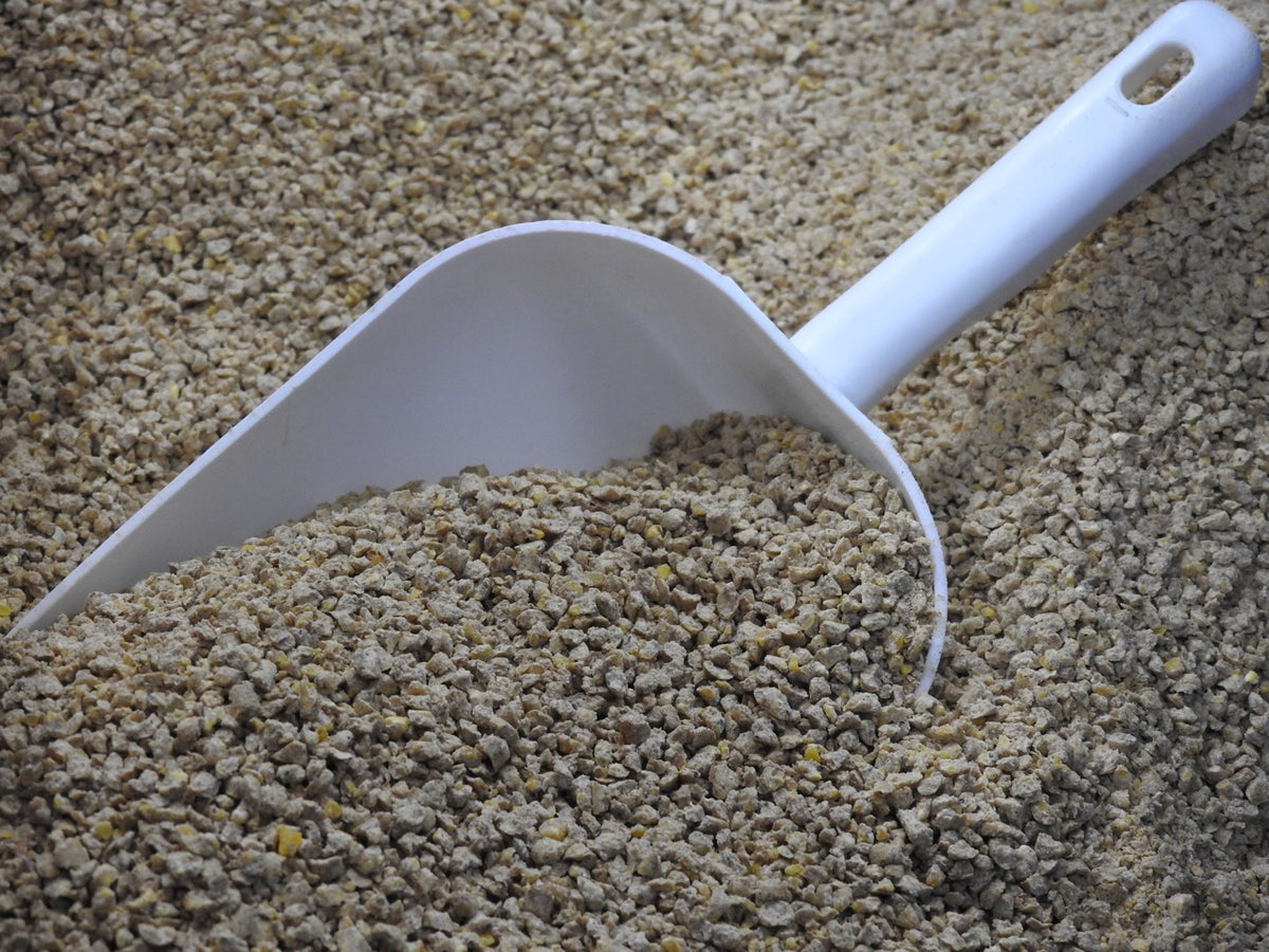 Chick Starter Crumble 40 lb – Garcia's Feed